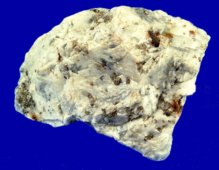 Lena Weber — Python Programmed Archives